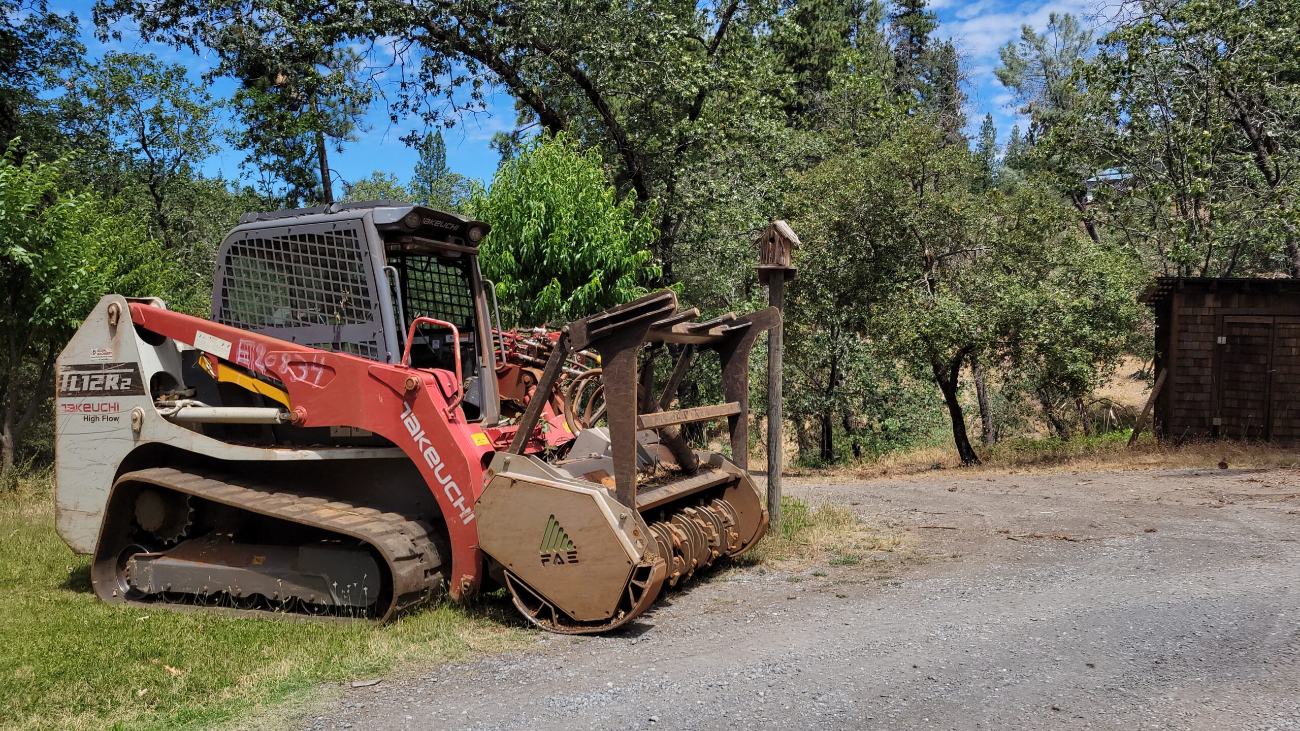 What to Consider Before Removing a Tree? - My Blog