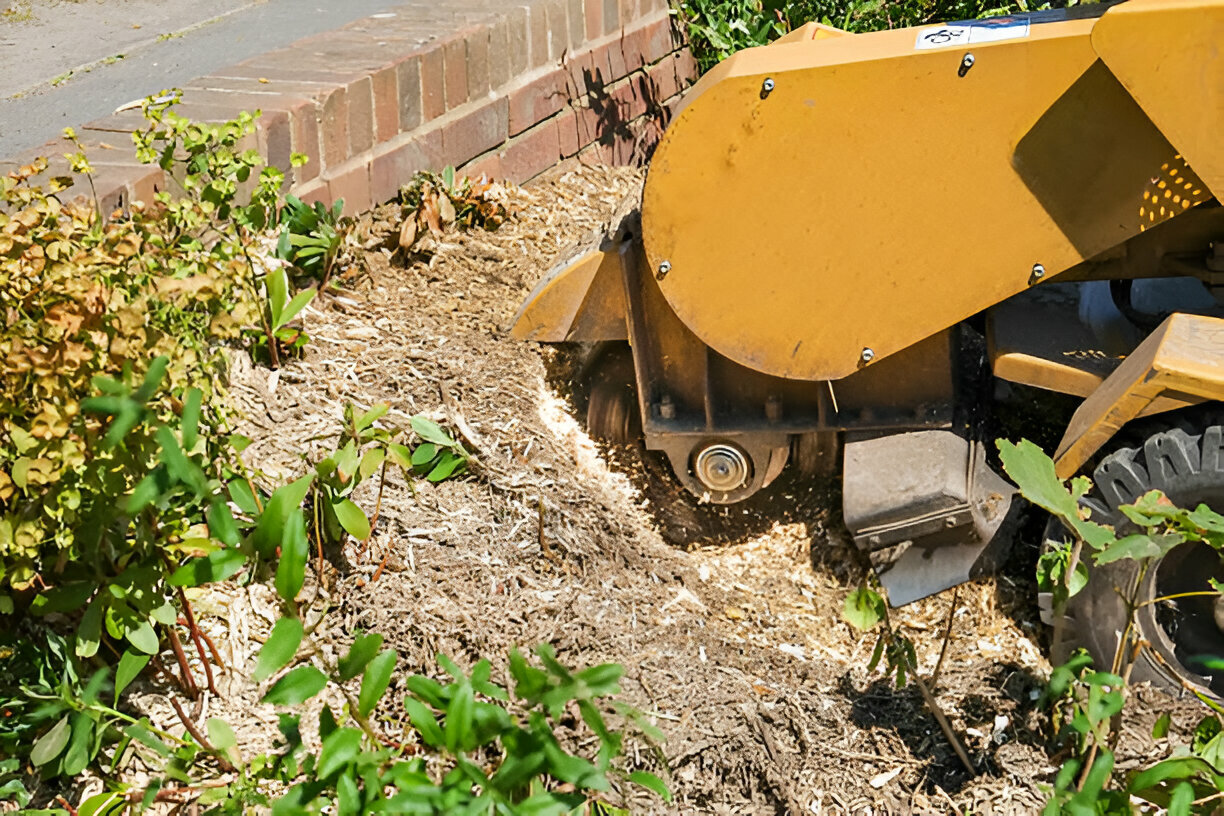 Why You Should Leave Stump Removal to the Experts - My Blog